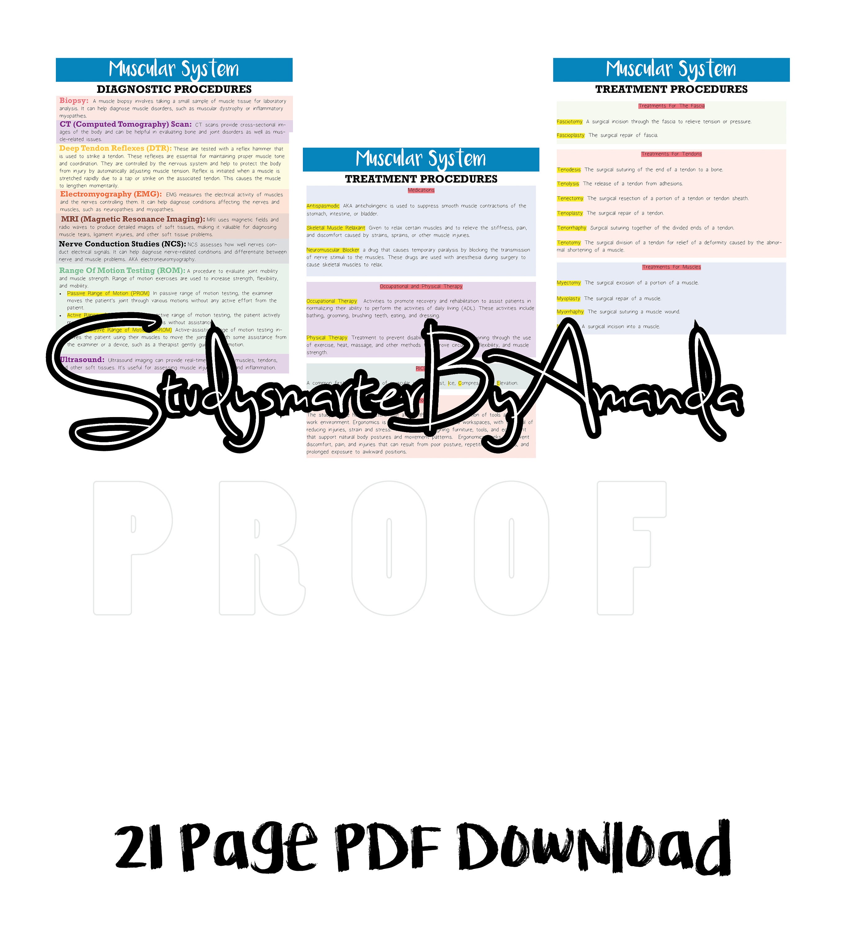 Muscular System Medical Terminology - Etsy