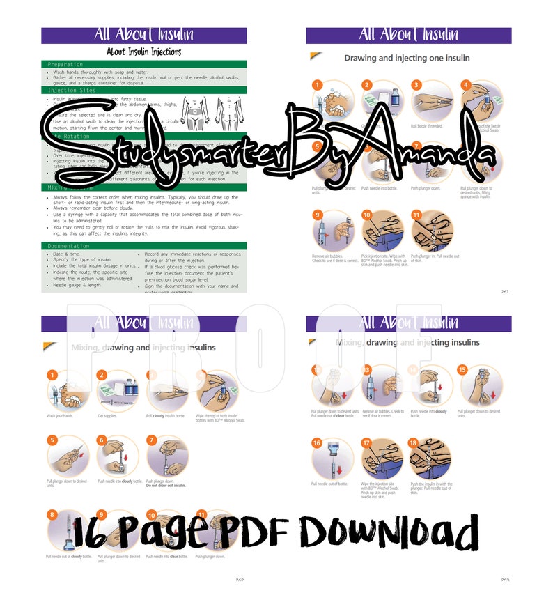 Insulin Nursing Notes - Etsy