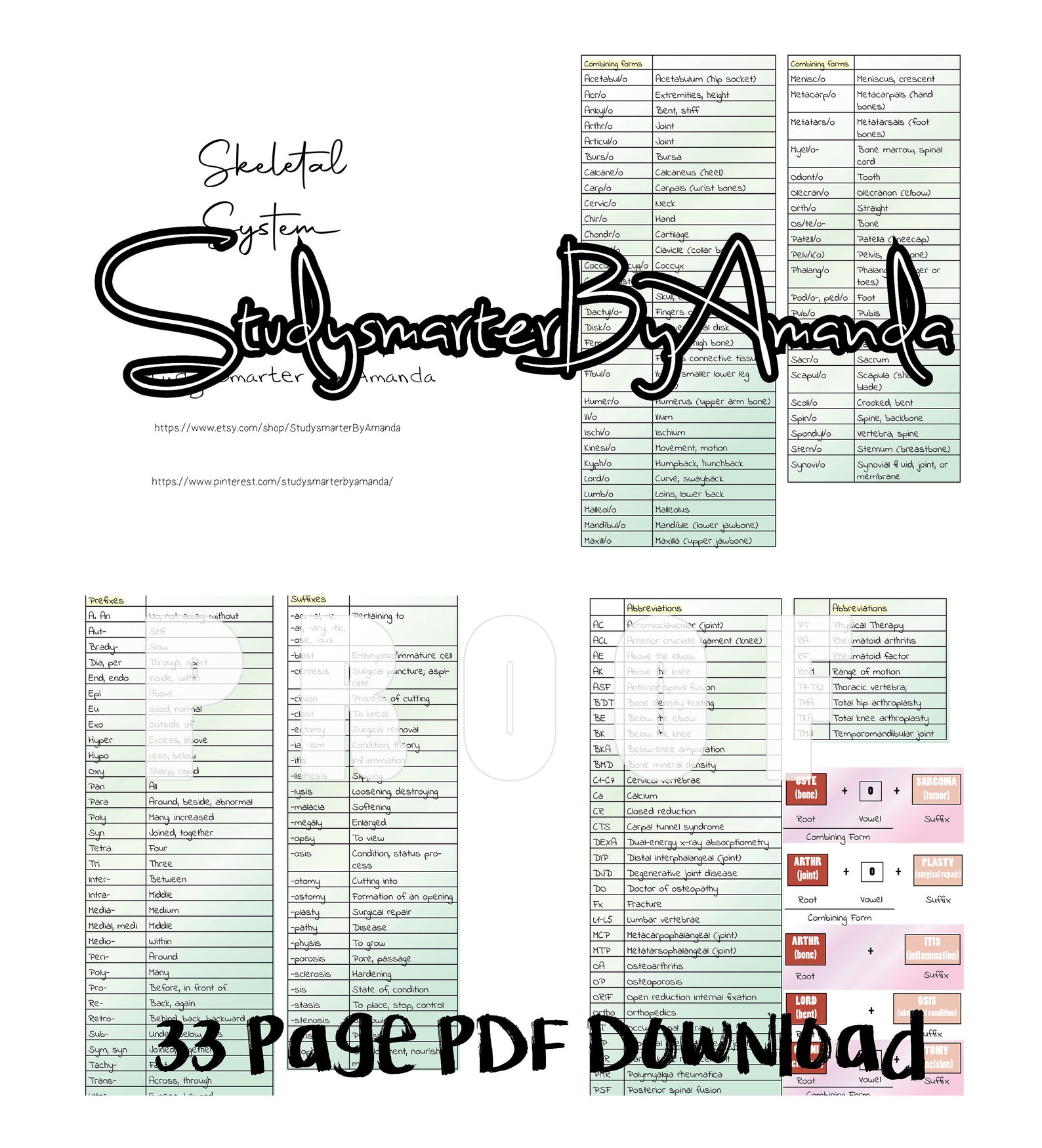 Skeletal System Medical Terminology - Etsy