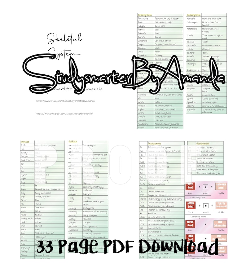 Skeletal System Medical Terminology - Etsy