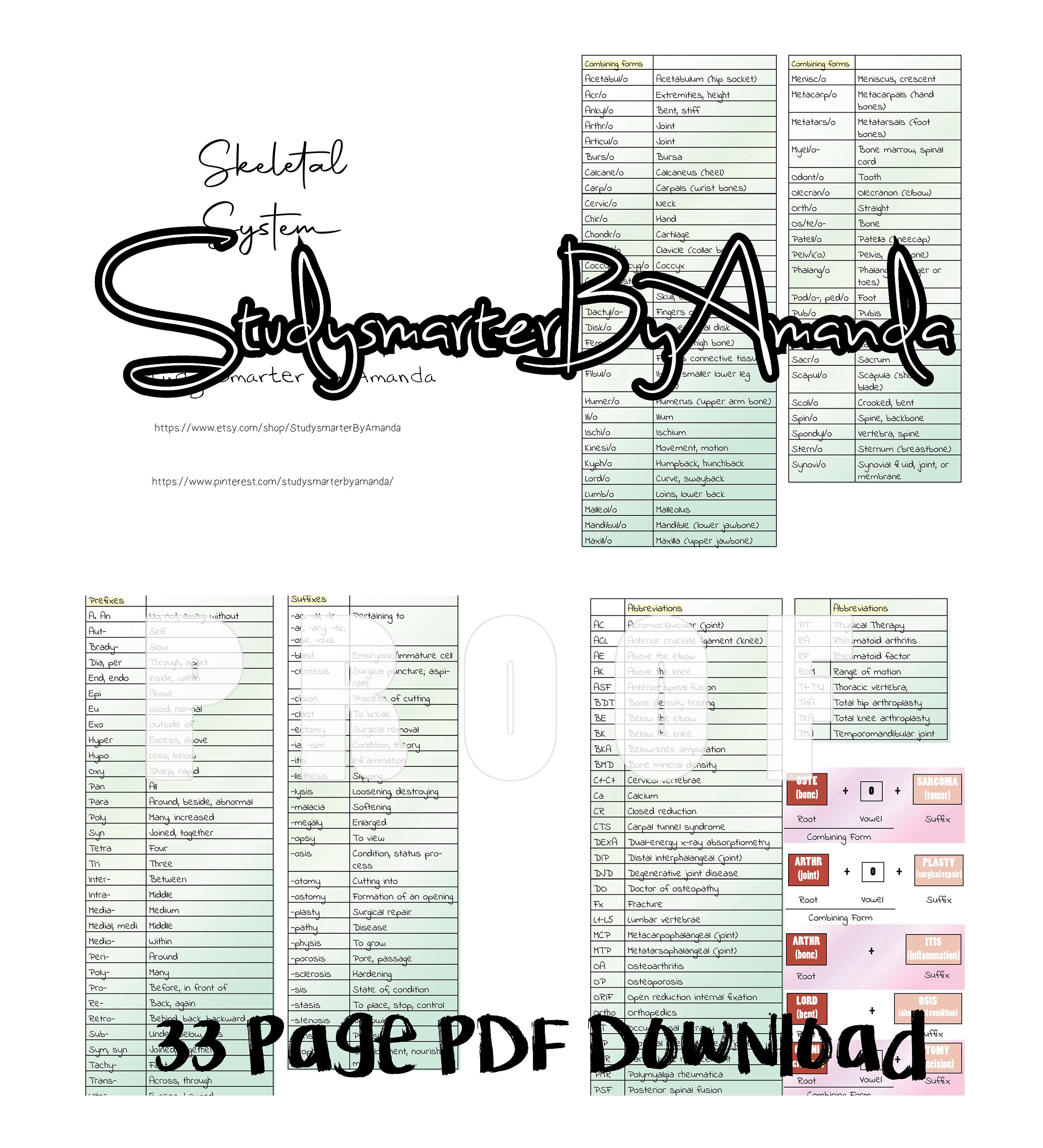 Skeletal System Medical Terminology - Etsy