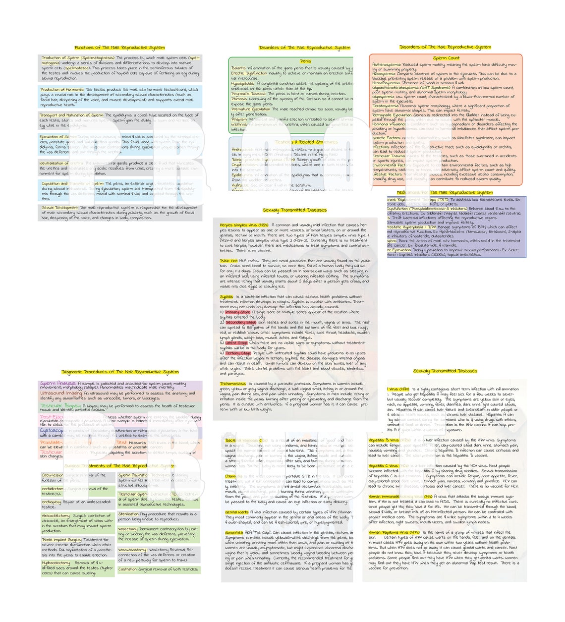 Reproductive System Medical Terminology - Etsy