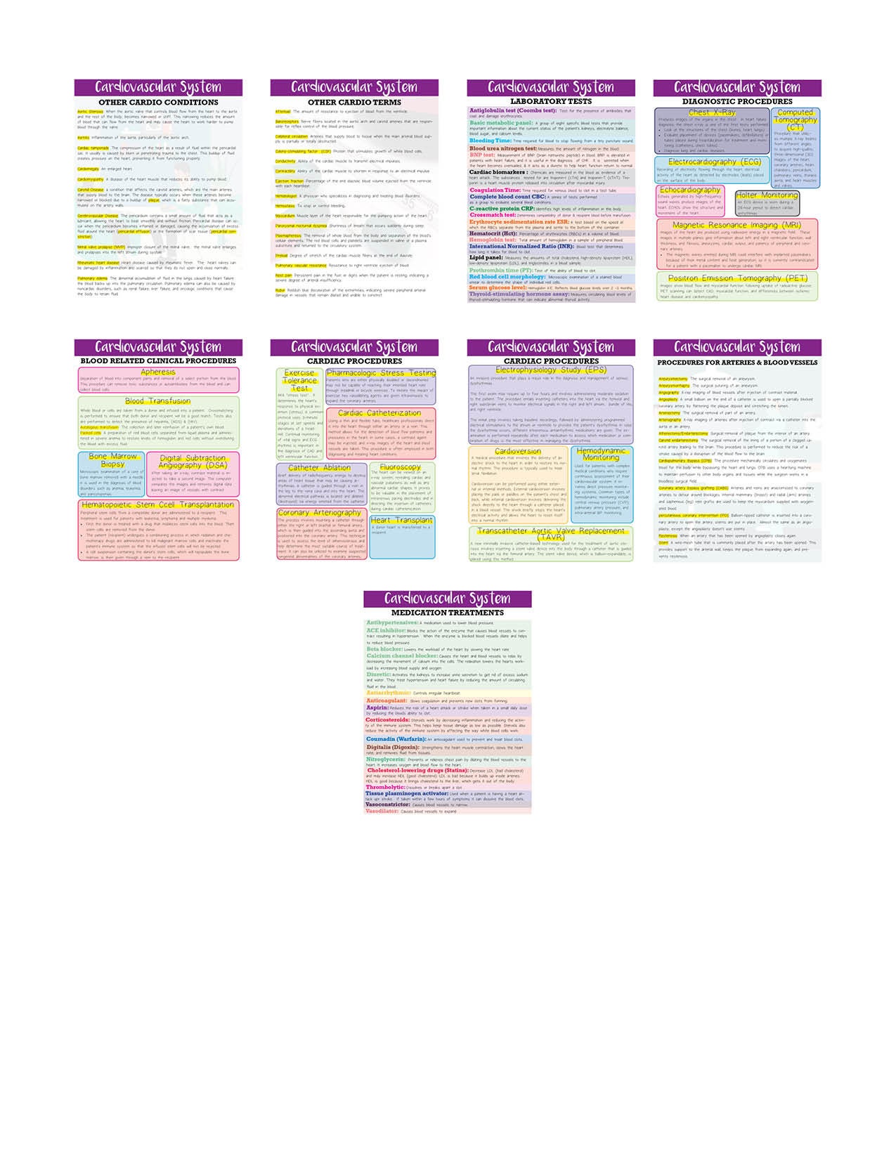 Cardiovascular Circulatory System Medical Terminology Study Guide - Etsy