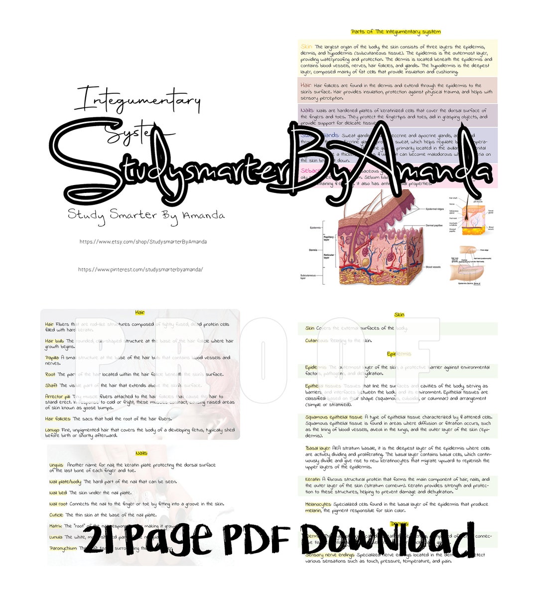 Integumentary System Medical Terminology - Etsy