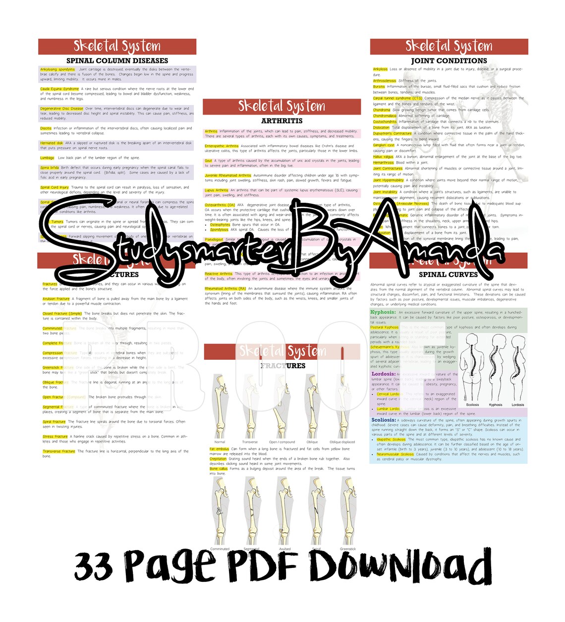 Skeletal System Medical Terminology - Etsy