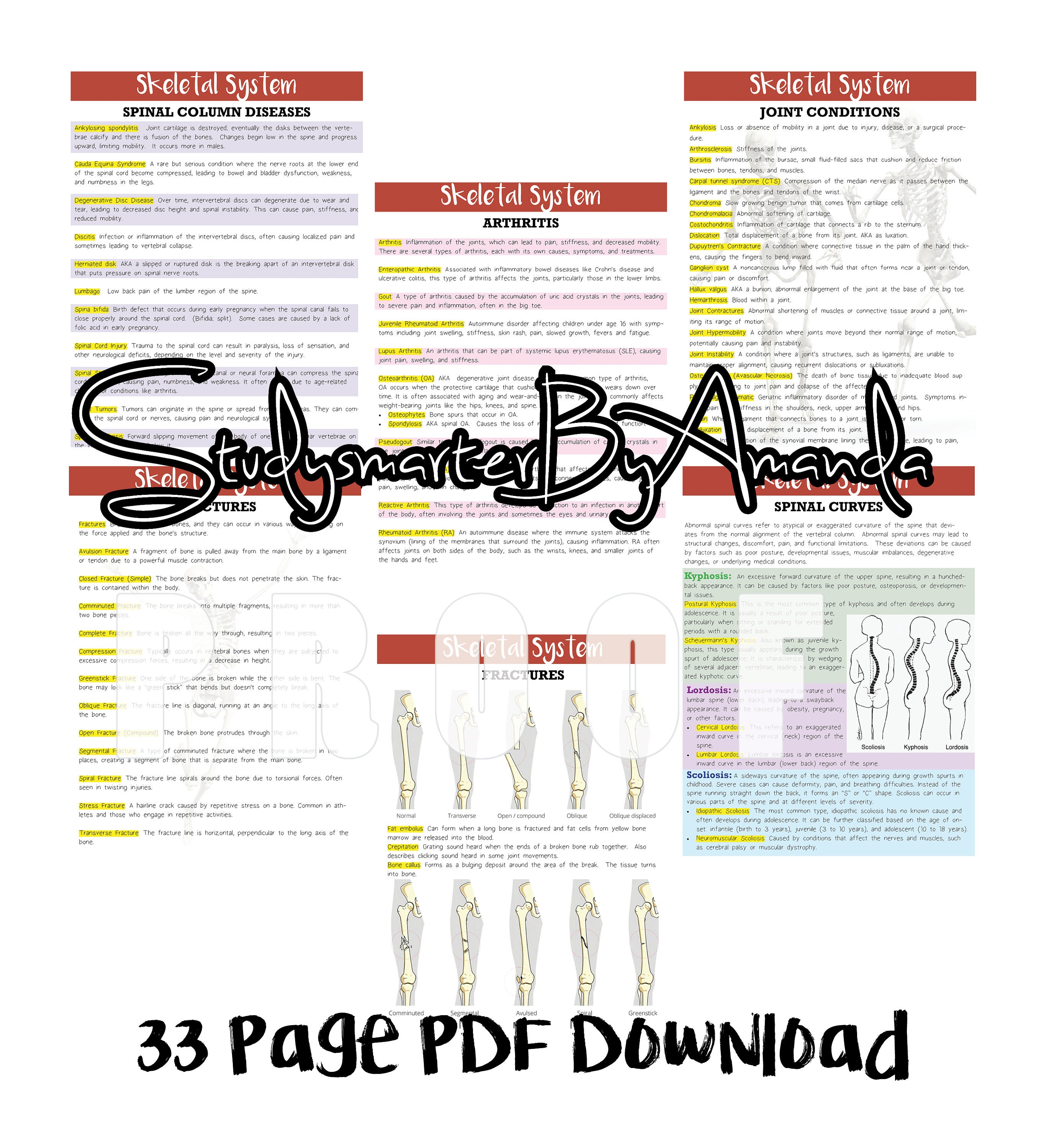 Skeletal System Medical Terminology - Etsy