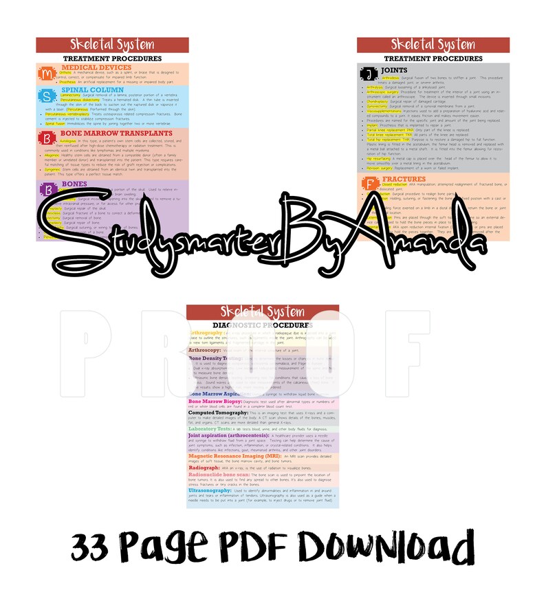 Skeletal System Medical Terminology - Etsy