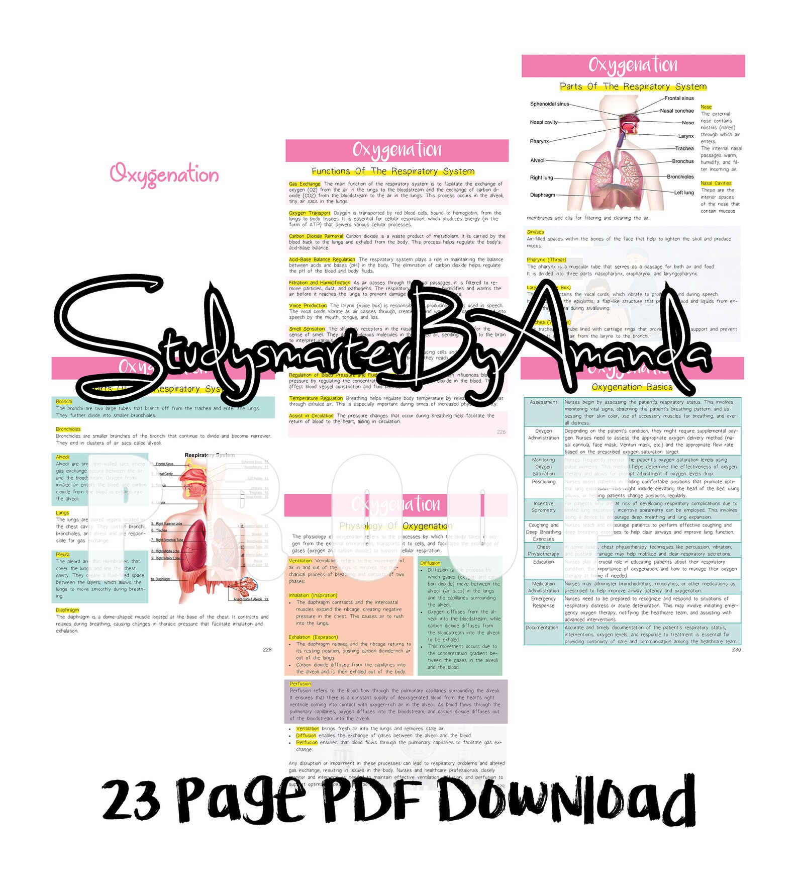 Oxygenation Nursing Study Guide - Etsy