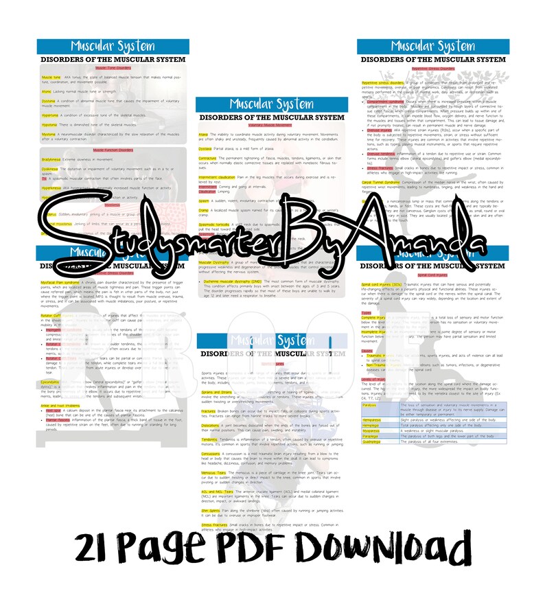 Muscular System Medical Terminology - Etsy