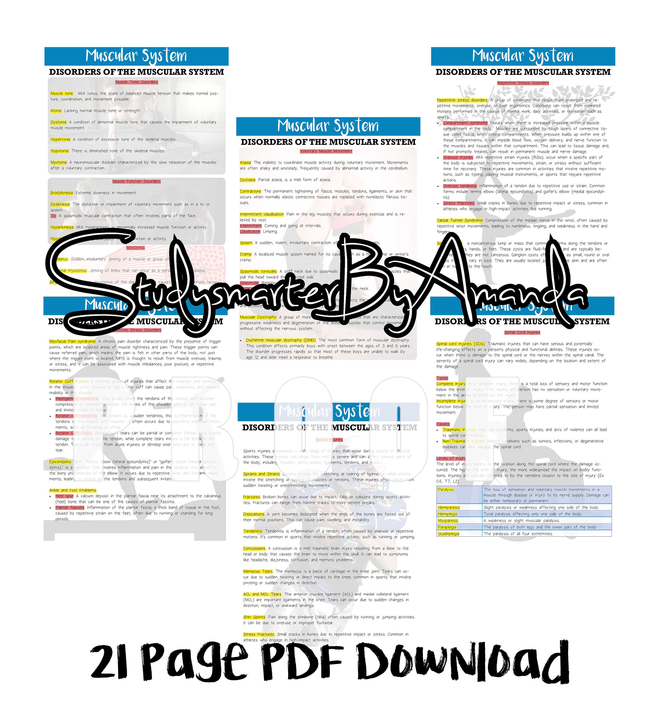 Muscular System Medical Terminology - Etsy