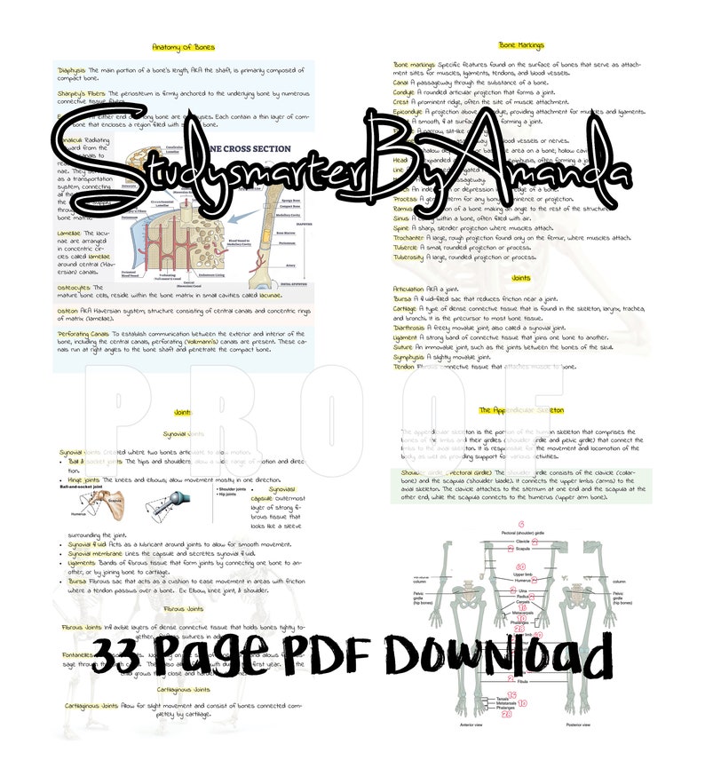 Skeletal System Medical Terminology - Etsy