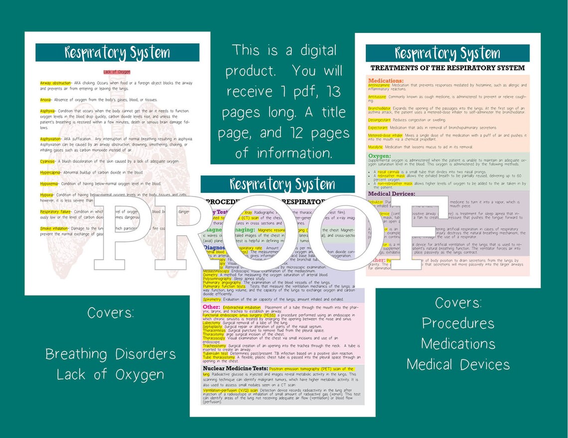 Respiratory System Medical Terminology - Etsy