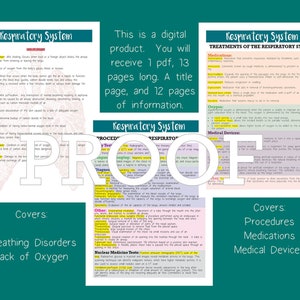 Respiratory System Medical Terminology - Etsy