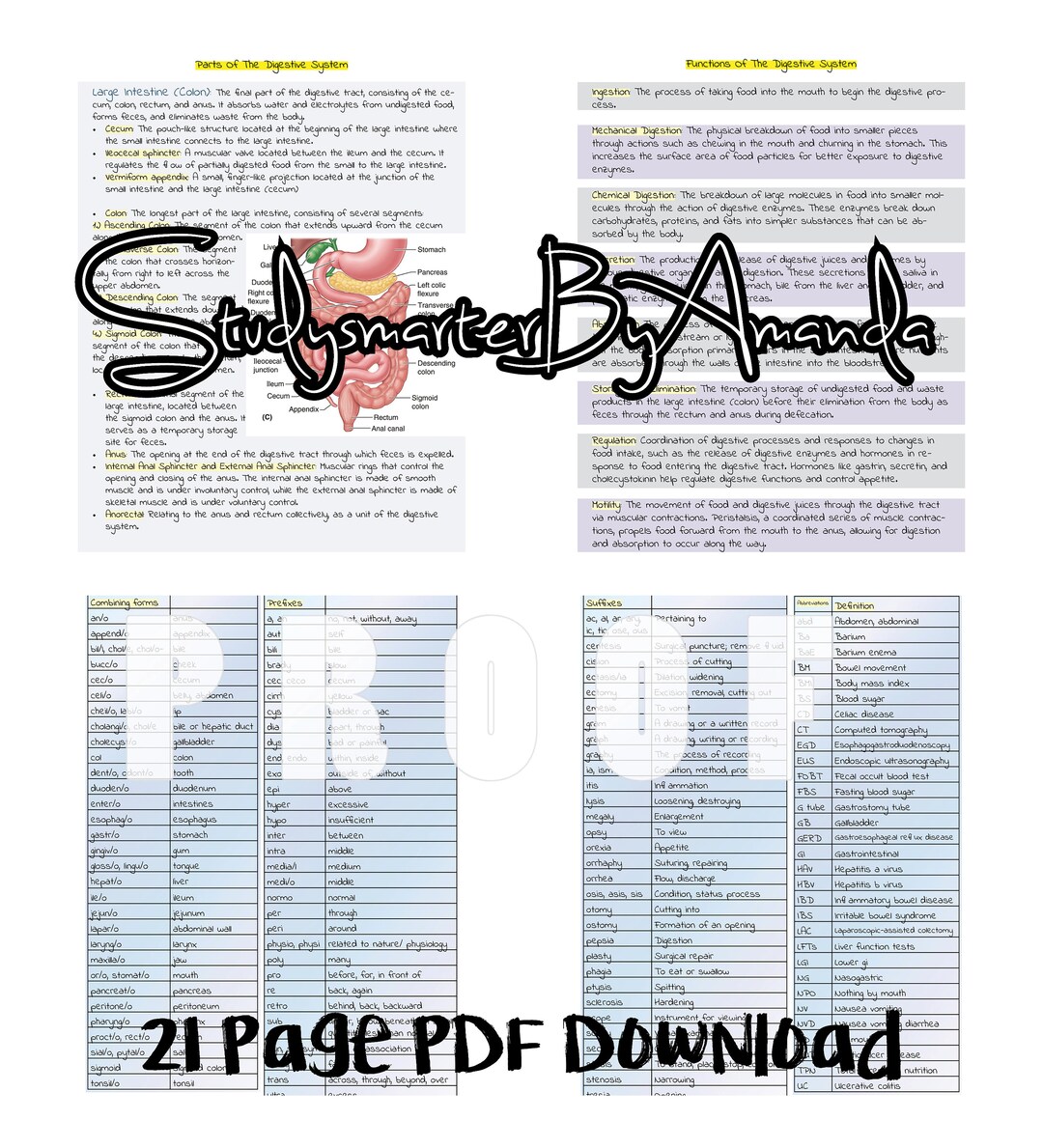 Digestive System Medical Terminology - Etsy