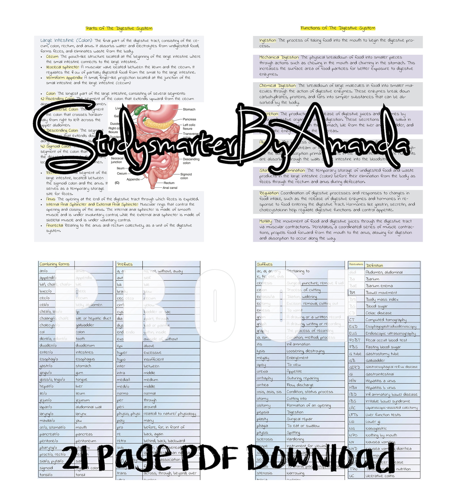 Digestive System Medical Terminology - Etsy