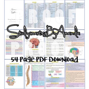 Nervous System Medical Terminology - Etsy