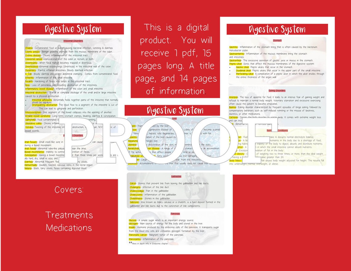 Digestive System Medical Terminology - Etsy