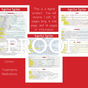 Digestive System Medical Terminology - Etsy