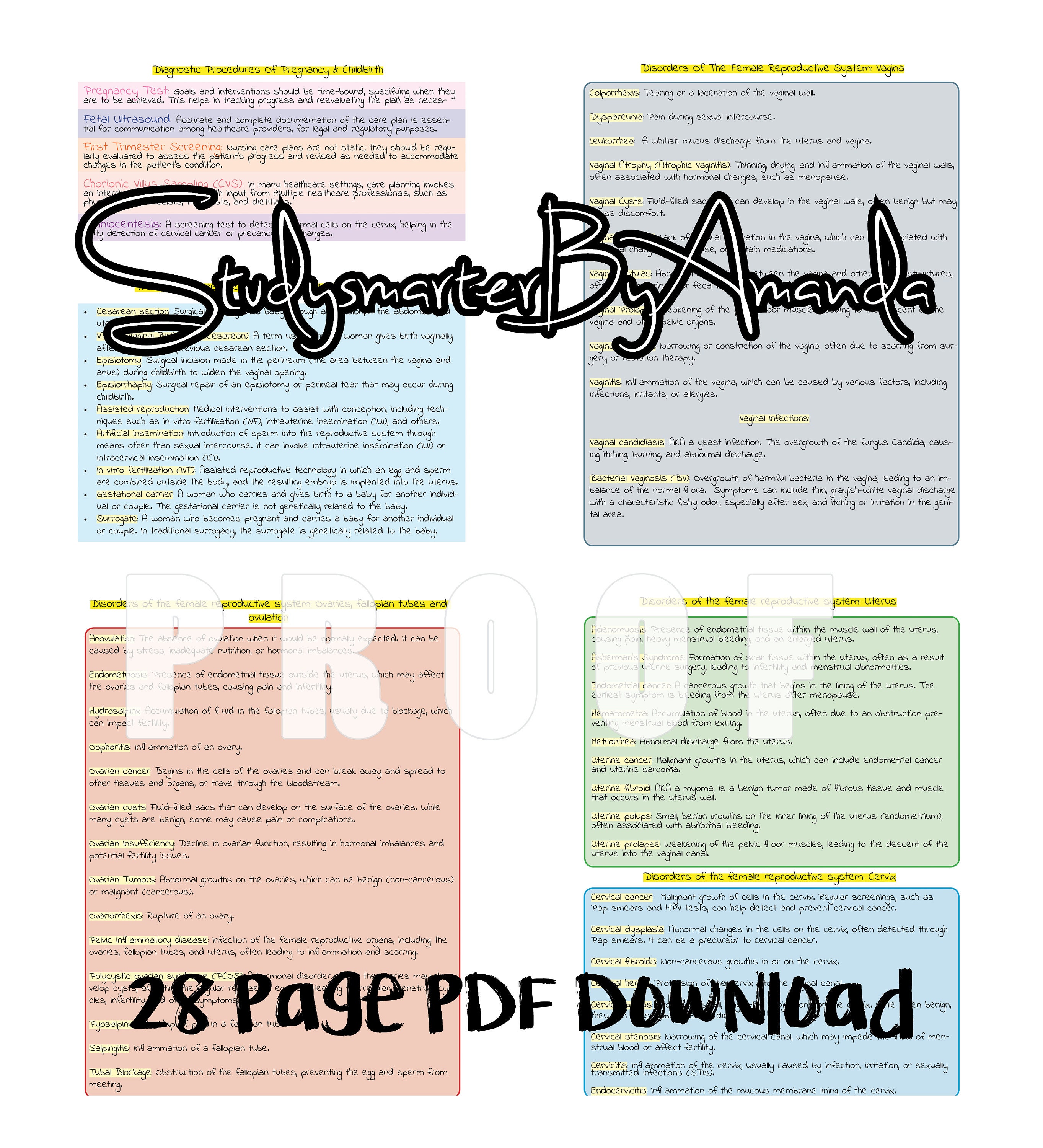 Reproductive System Medical Terminology - Etsy