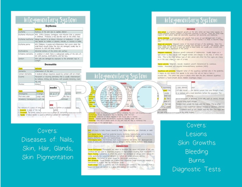 Integumentary System Medical Terminology - Etsy