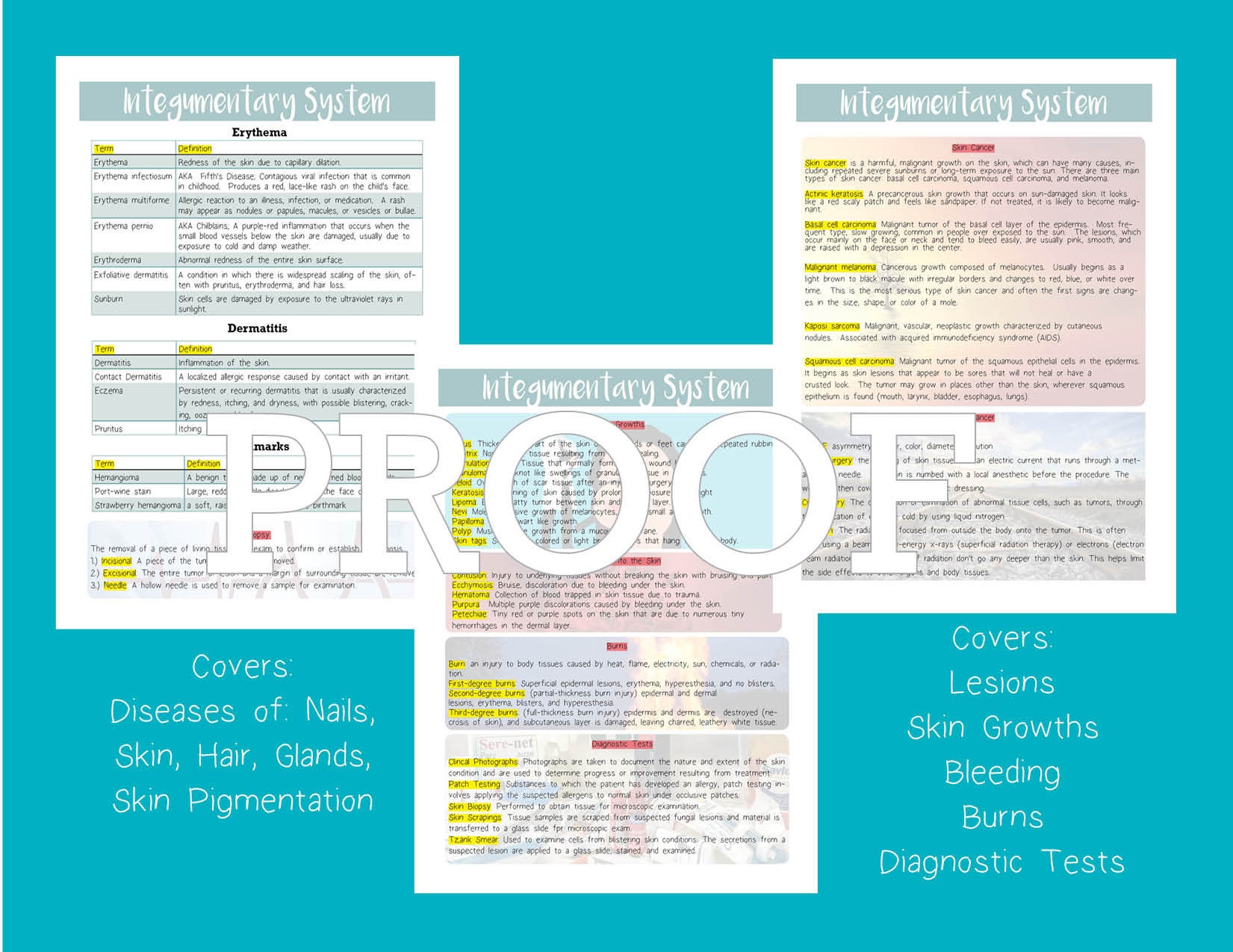 Integumentary System Medical Terminology - Etsy