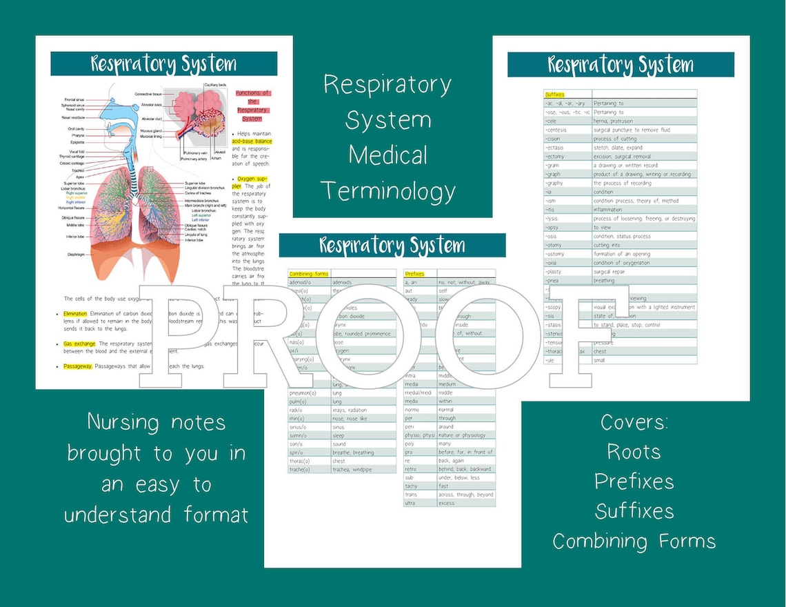 Respiratory System Medical Terminology - Etsy