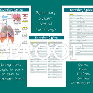 Respiratory System Medical Terminology - Etsy