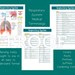 Respiratory System Medical Terminology - Etsy