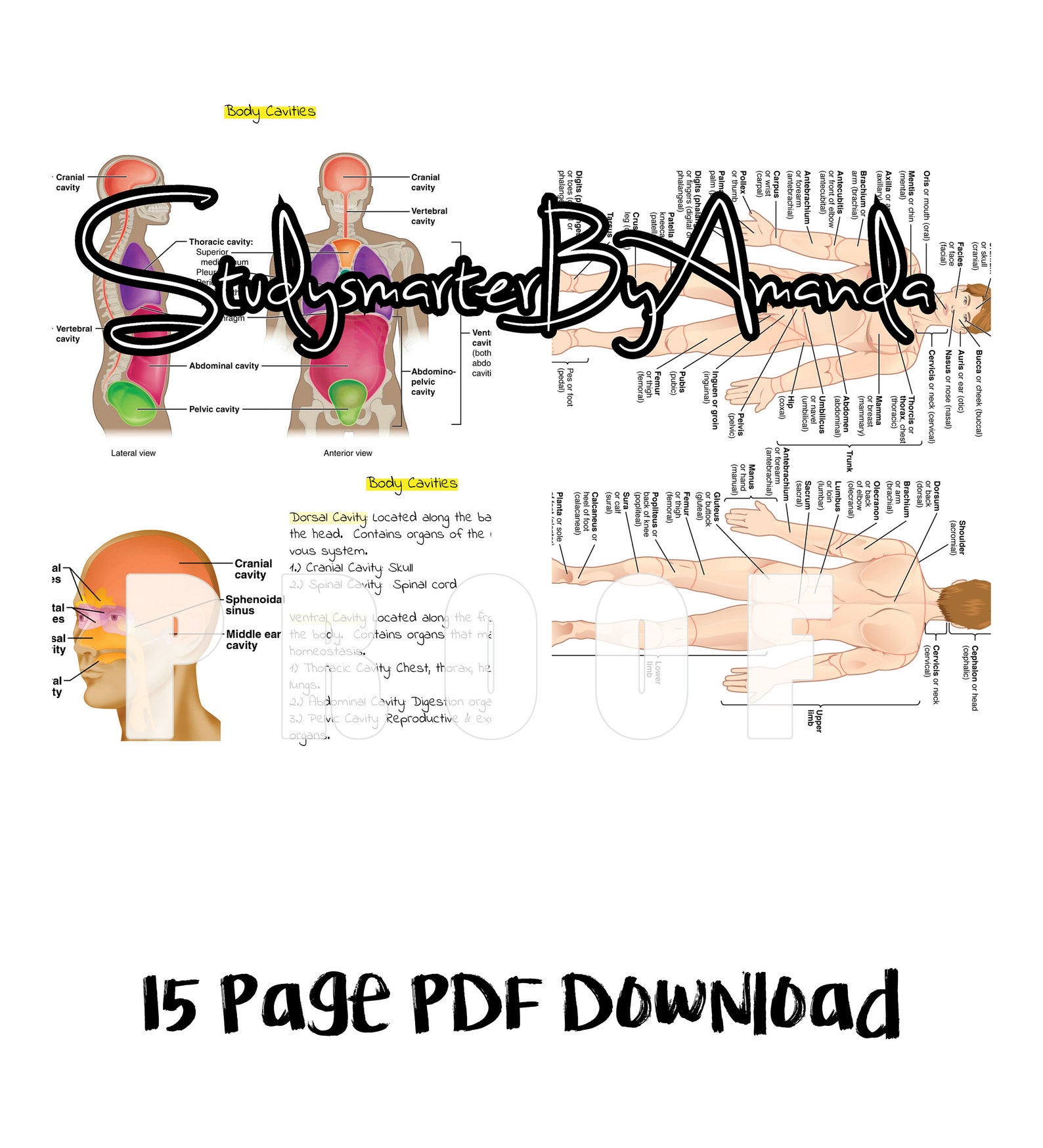 Intro to Medical Terminology Nursing Notes - Etsy