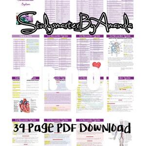 Cardiovascular Circulatory System Medical Terminology Study Guide - Etsy