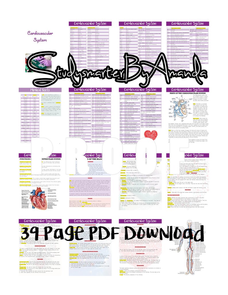 Cardiovascular Circulatory System Medical Terminology Study Guide - Etsy