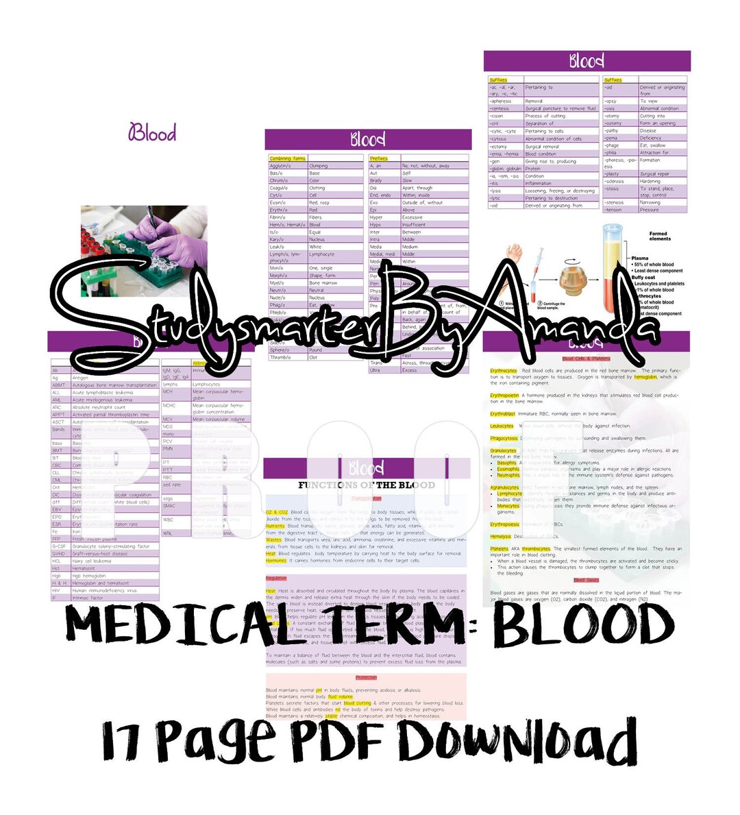 Medical Terminology of Blood - Etsy