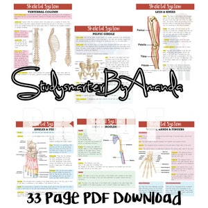 Skeletal System Medical Terminology - Etsy