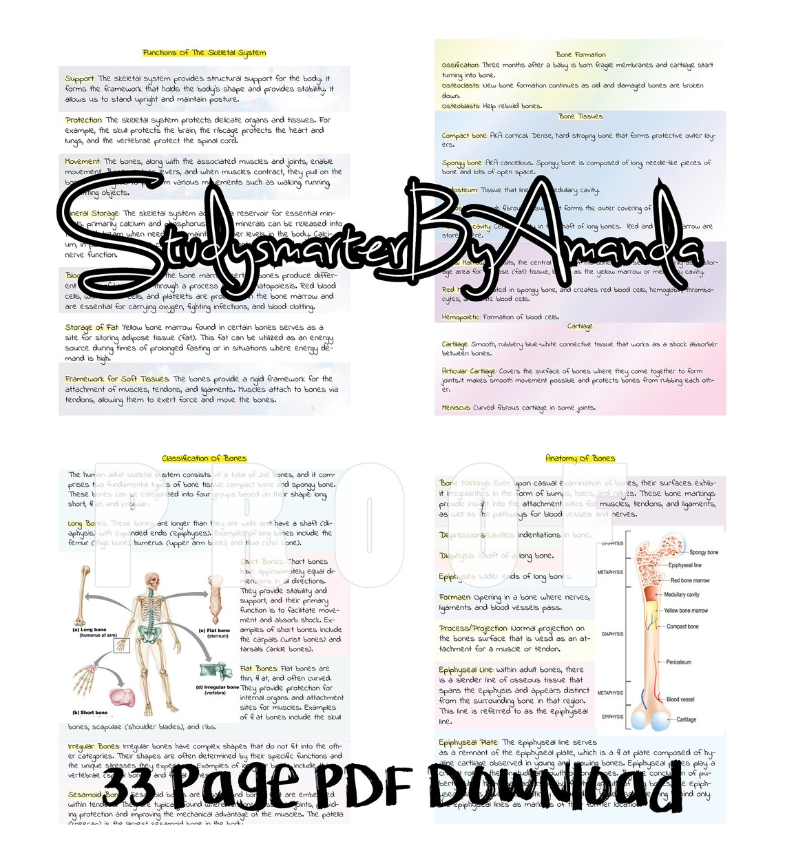Skeletal System Medical Terminology - Etsy