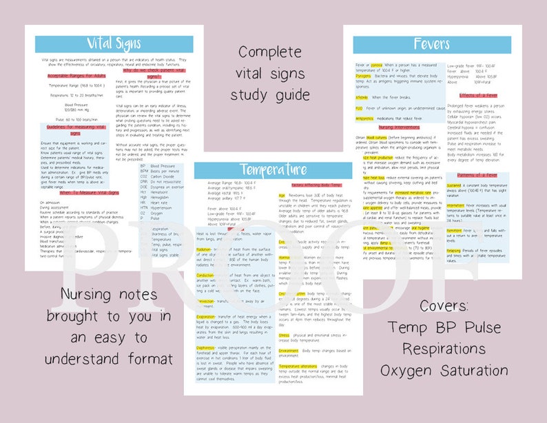 Vital Signs Nursing Notes - Etsy
