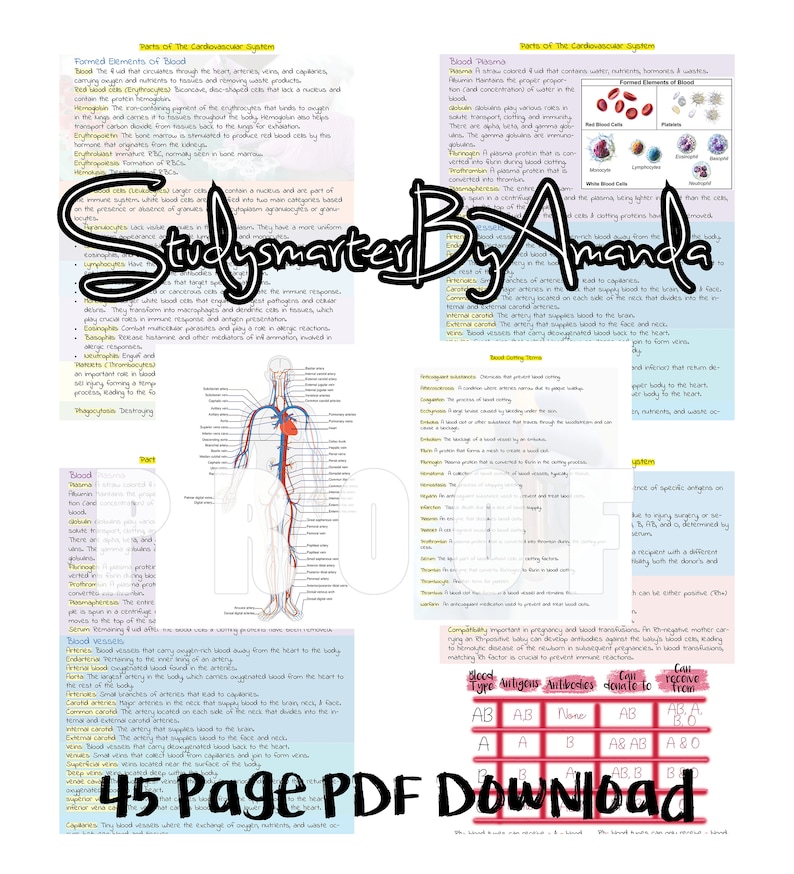 Cardiovascular Circulatory System Medical Terminology Study Guide - Etsy
