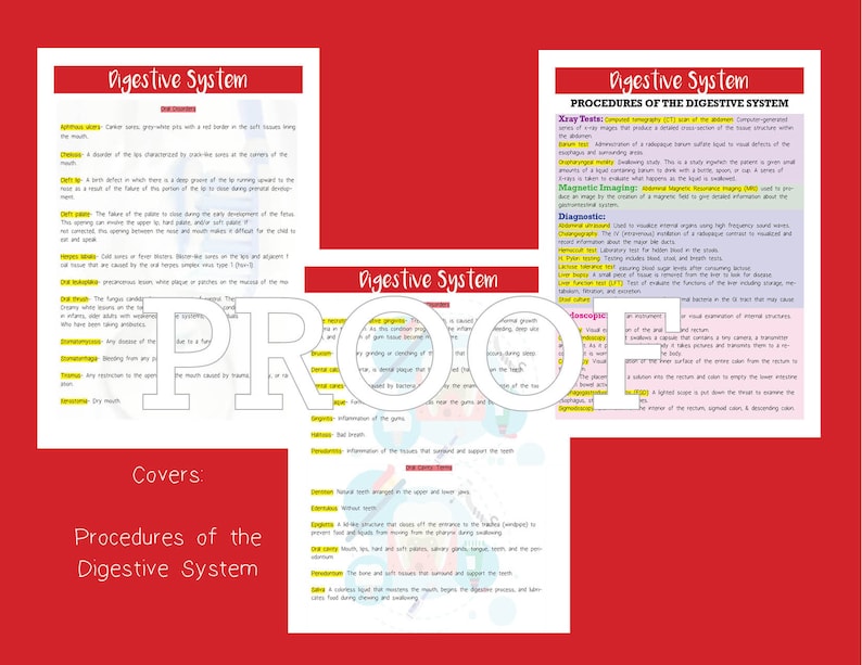Digestive System Medical Terminology - Etsy