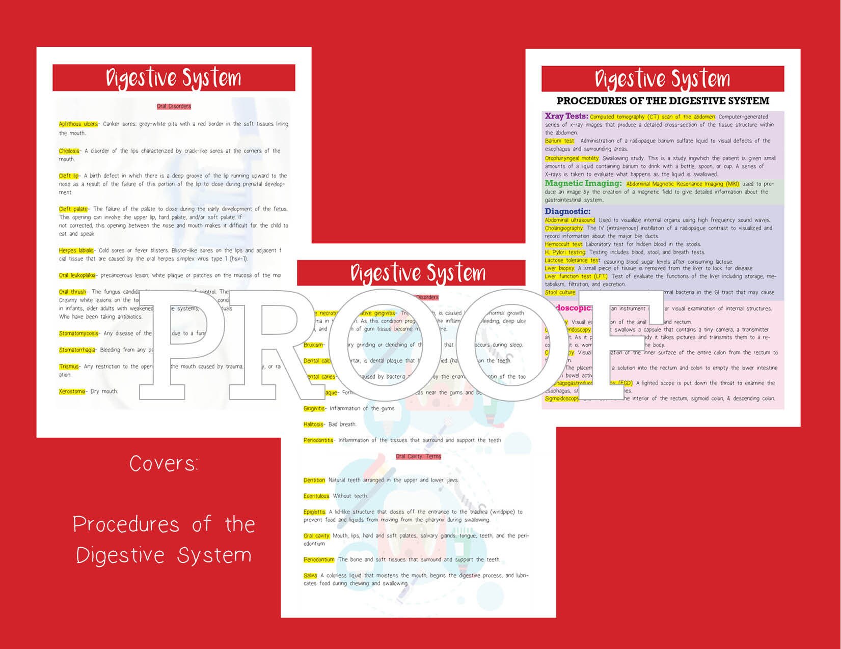 Digestive System Medical Terminology - Etsy