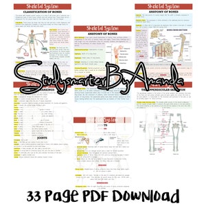 Skeletal System Medical Terminology - Etsy