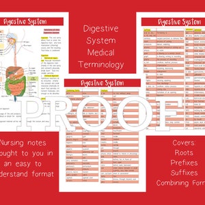 Digestive System Medical Terminology - Etsy