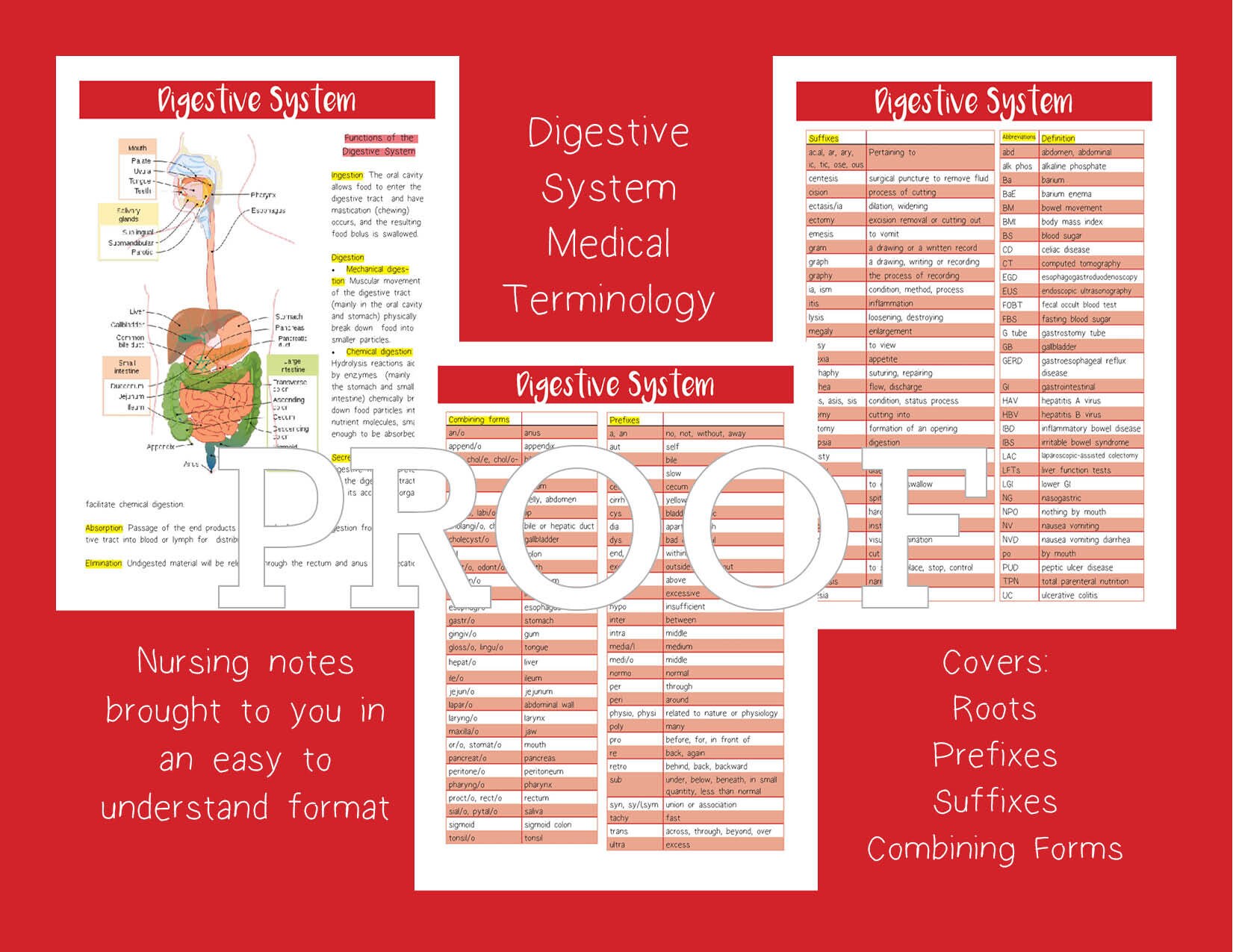 Digestive System Medical Terminology - Etsy