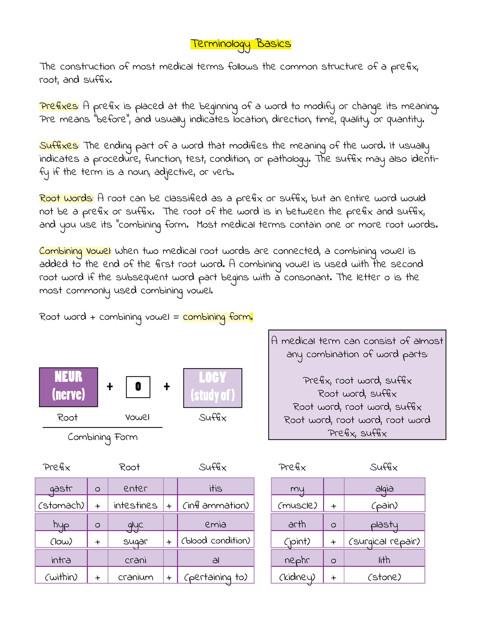 Intro to Medical Terminology Nursing Notes - Etsy