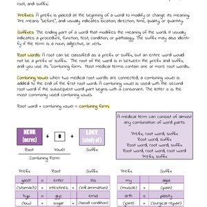Intro to Medical Terminology Nursing Notes - Etsy