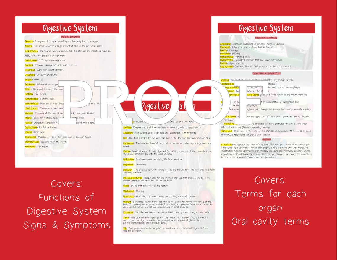 Digestive System Medical Terminology - Etsy