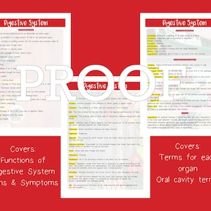 Digestive System Medical Terminology - Etsy