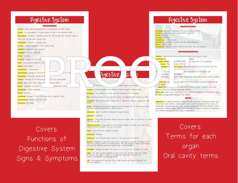 Digestive System Medical Terminology - Etsy
