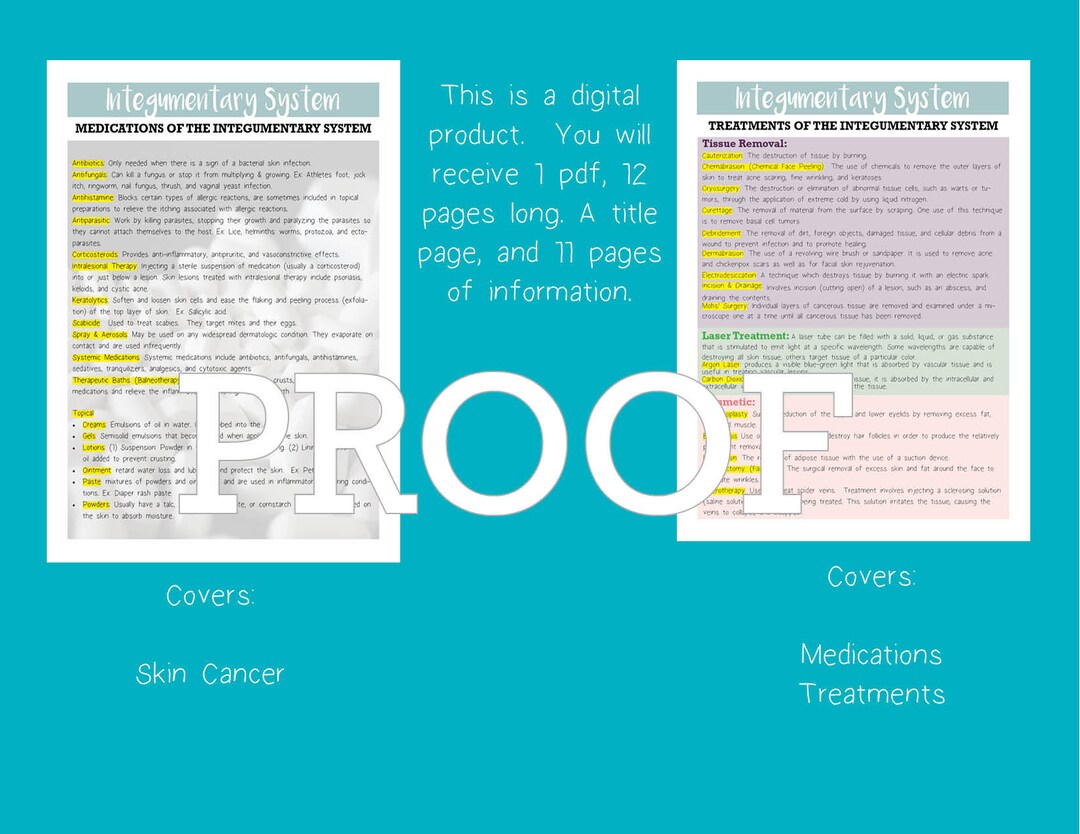 Integumentary System Medical Terminology - Etsy