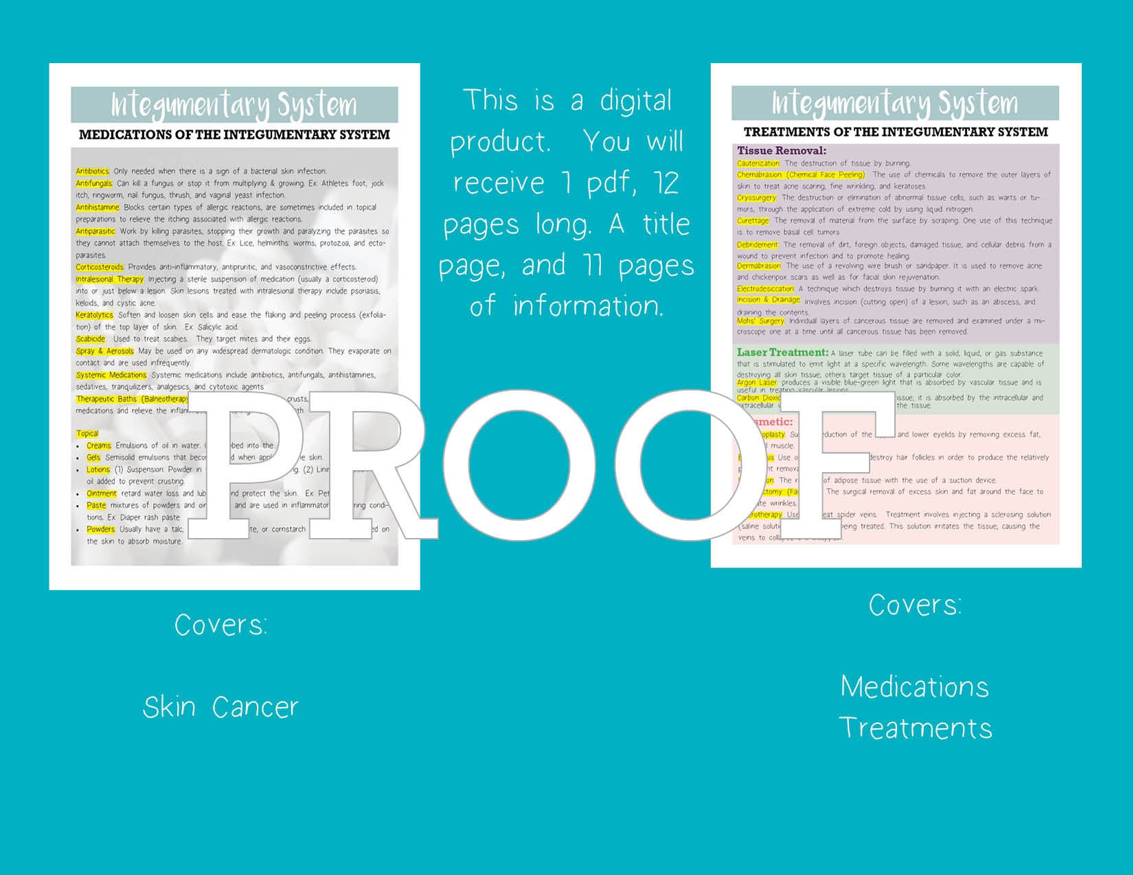 Integumentary System Medical Terminology - Etsy