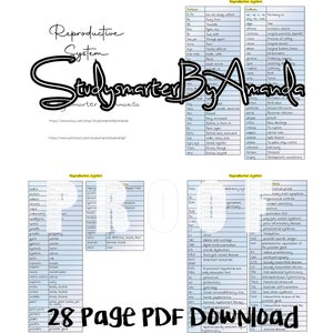 Reproductive System Medical Terminology - Etsy