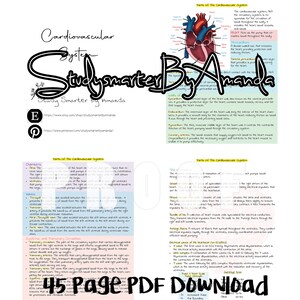 Cardiovascular Circulatory System Medical Terminology Study Guide - Etsy